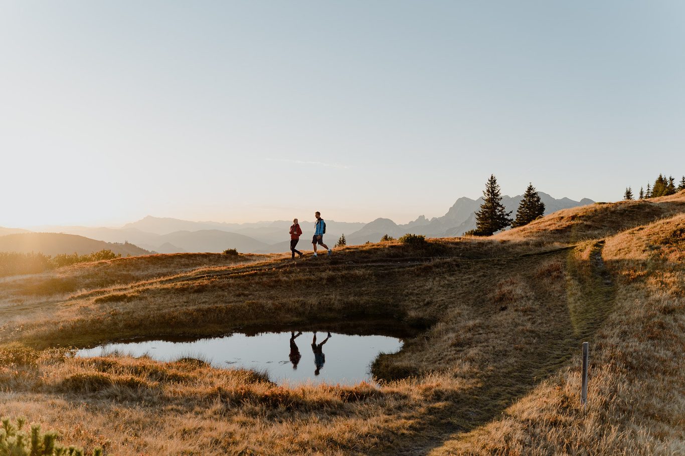 Hauser Kaibling | Natur- und Wellnesshotel Höflehner