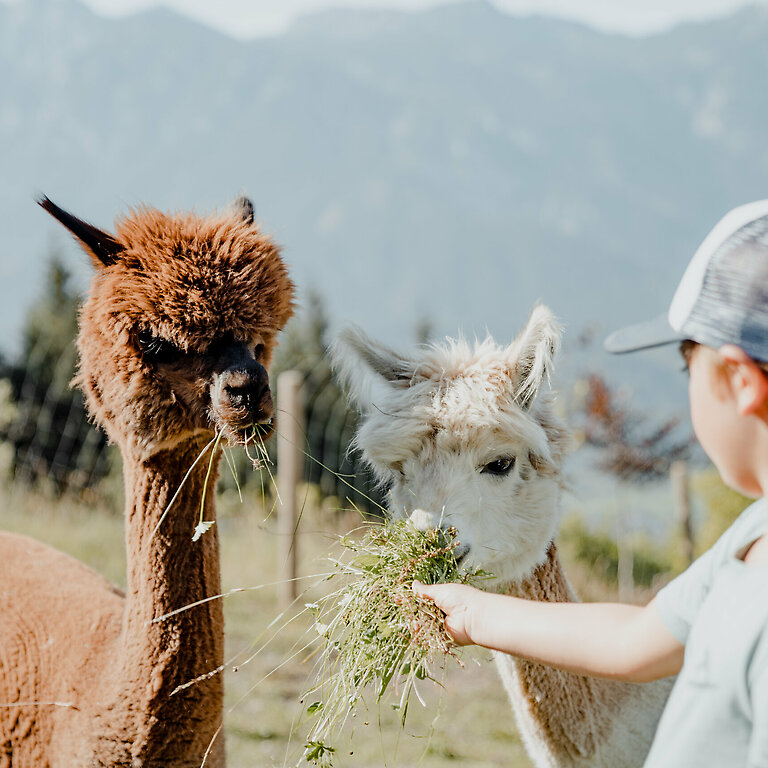 Nature and Wellness Hotel Höflehner - 4 stars superior