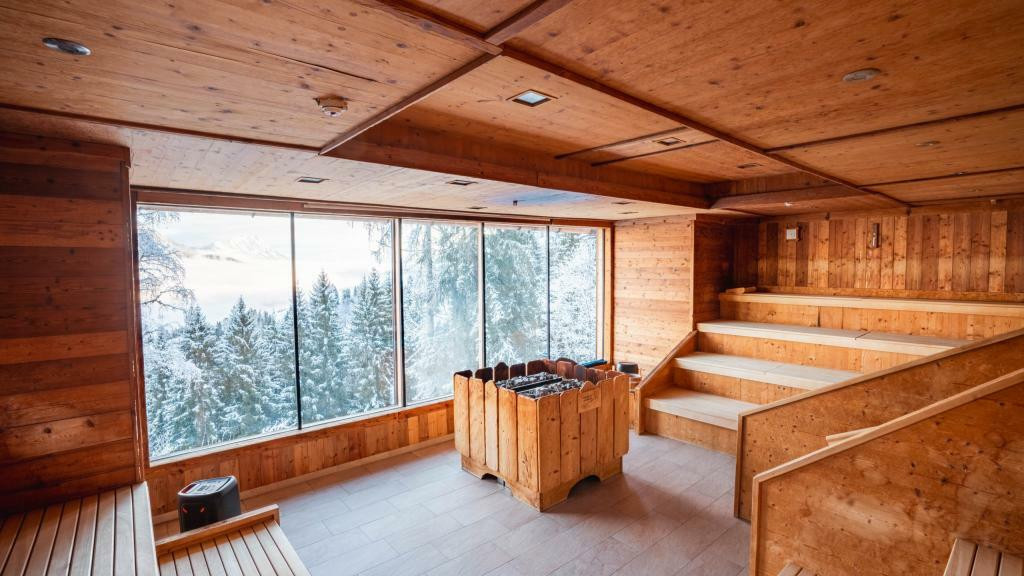 Day SPA – Entspannung & Wellness im Höflehner, Schladming